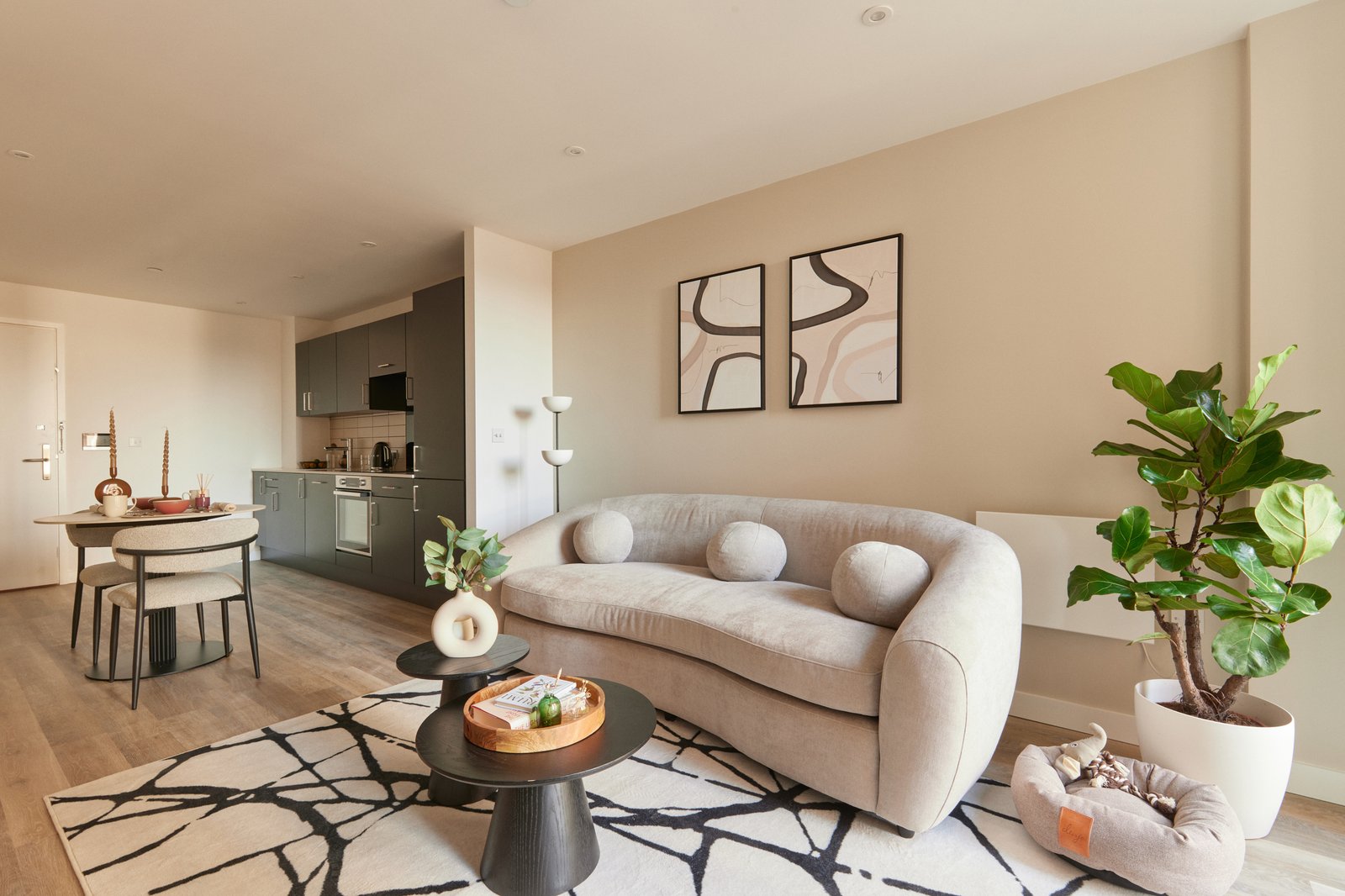 The Castings | Shape A Life In Manchester